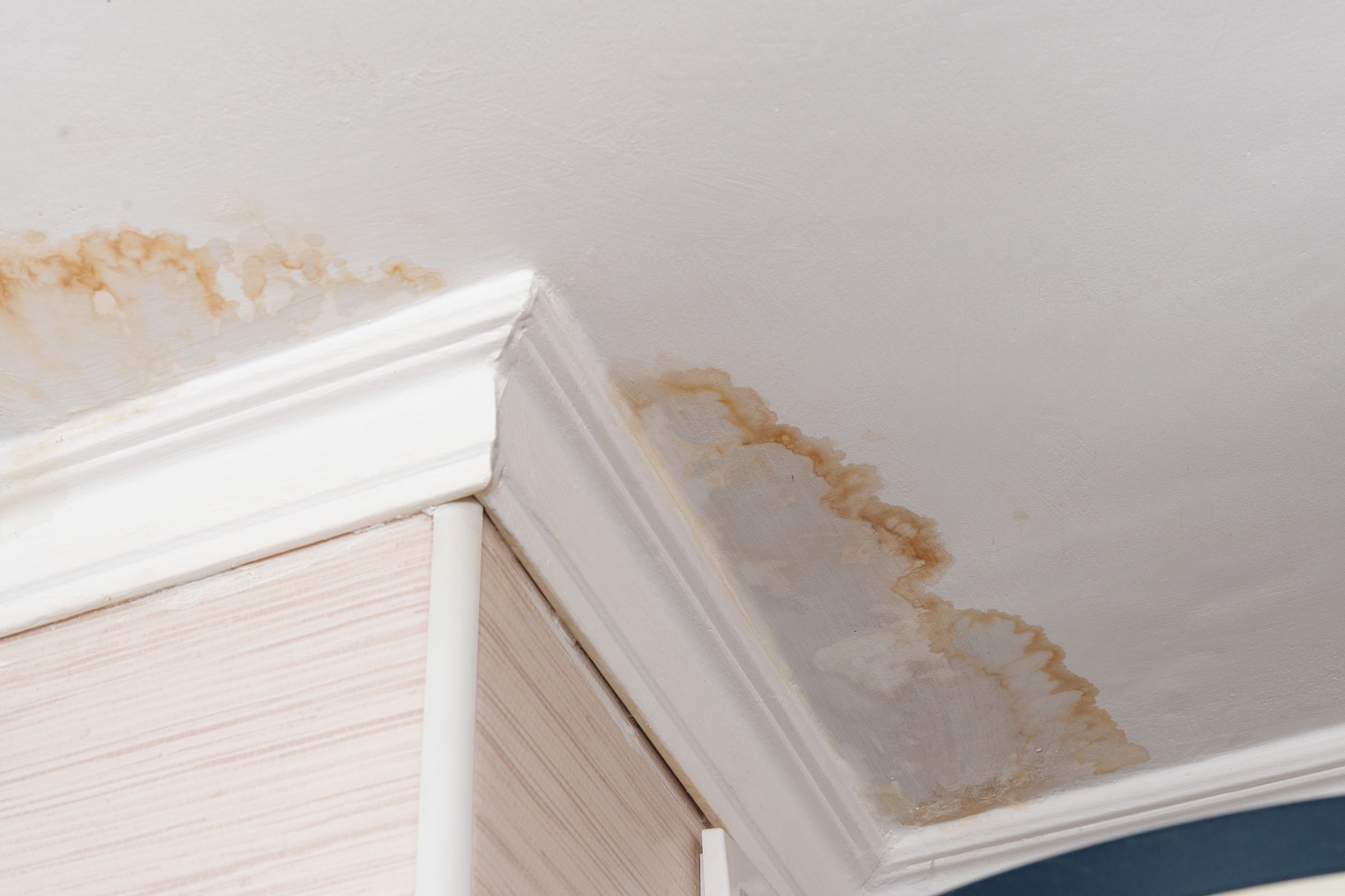 How to Fix Water Stains on Ceilings: A Step-by-Step Guide - Heiler Painting